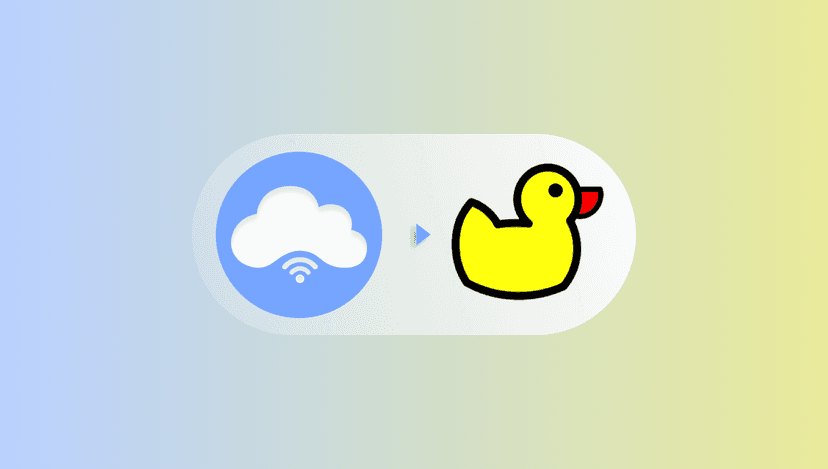 Authorisation with Duck DNS